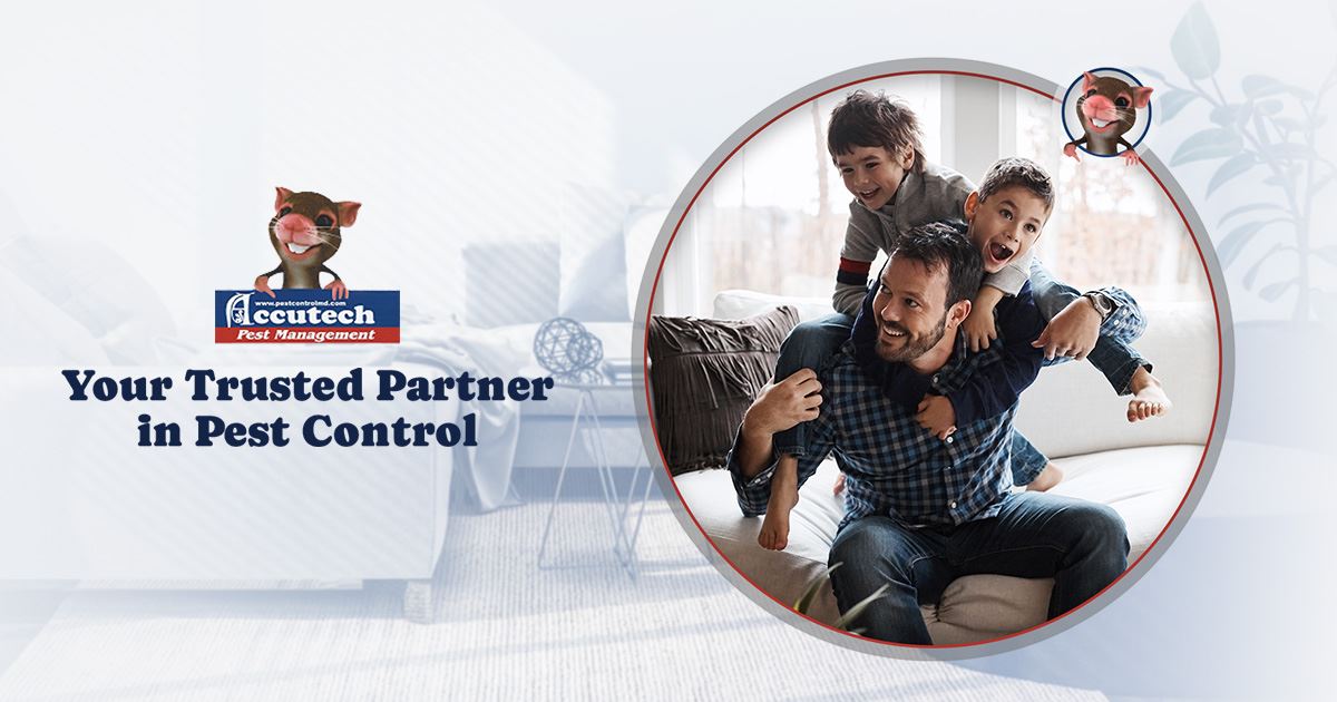 Expert Pest Control Pasadena, MD | Call Now for Free Quote